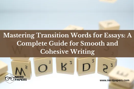 Body Paragraph Basics: Easy Guide for Students